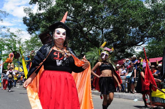 Neiva - Colombia editorial image. Image of comparsa, reign - 26036485
