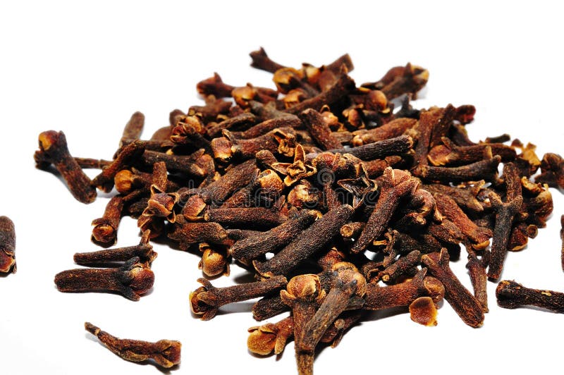 Krydda arkivfoto. Bild av samling, ingefära, garnering - 28031462