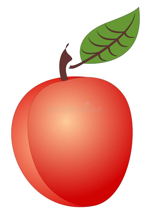 Nektarin Stock Illustrationer, Vektorer, & Clipart – (1,784 Stock ...