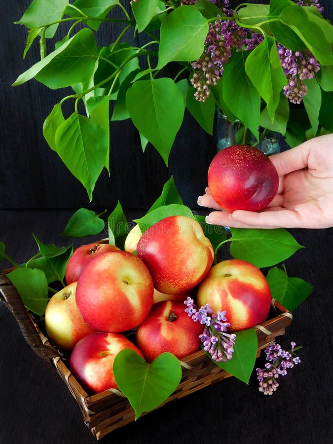 Nektariner i korgen arkivfoto. Bild av jordbruk, nytt - 94935724