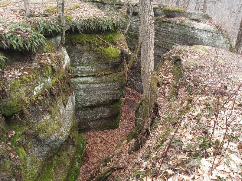 Nelson ledges State Park stock image. Image of rockformations - 162591489
