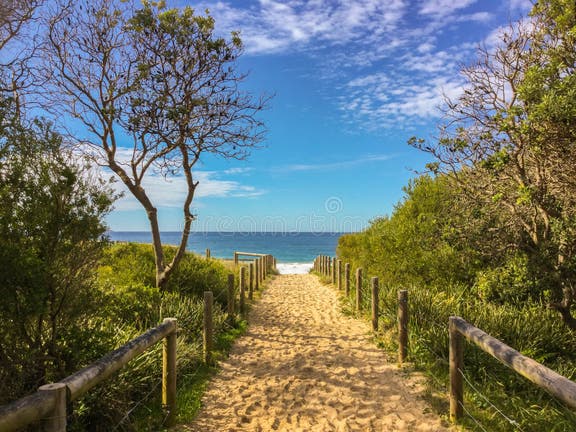 Nelsons Bay stock photo. Image of landscape, agriculture - 199732920