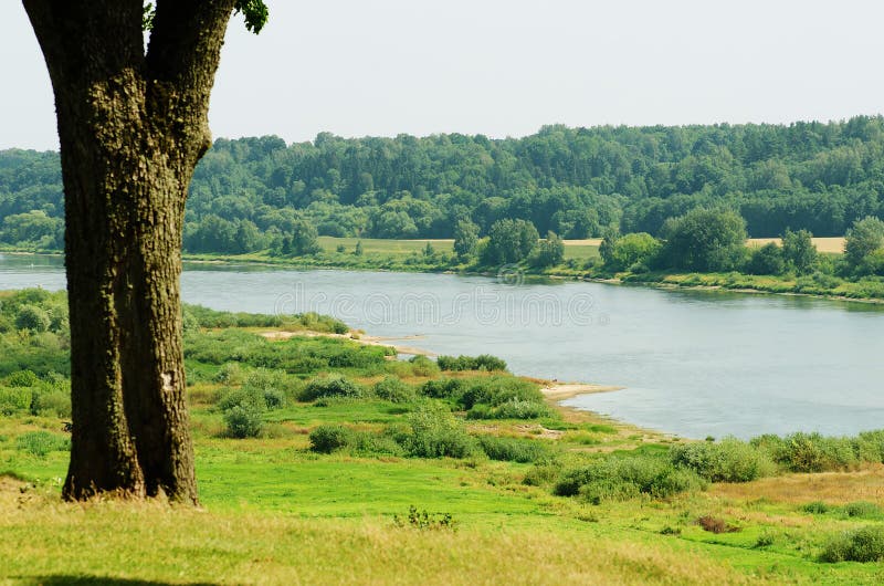 Nemunas river in Lithuania stock photo. Image of tree - 43749546