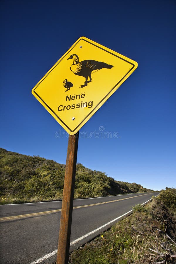 Nene bird crossing sign. stock photo. Image of crossing - 2037706