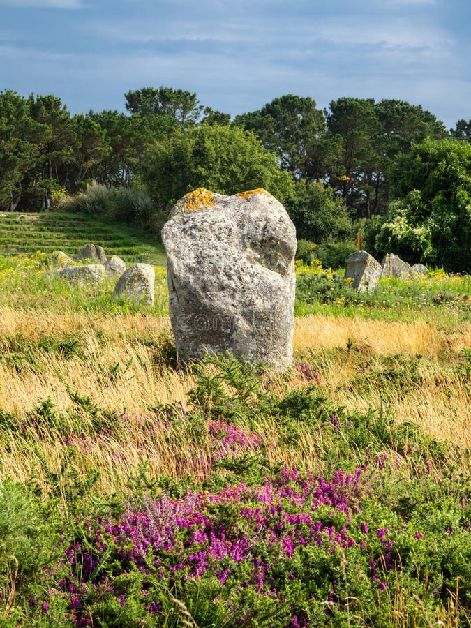 Neolithic Menhirs - Standing Stones in Brittany Stock Photo - Image of ...