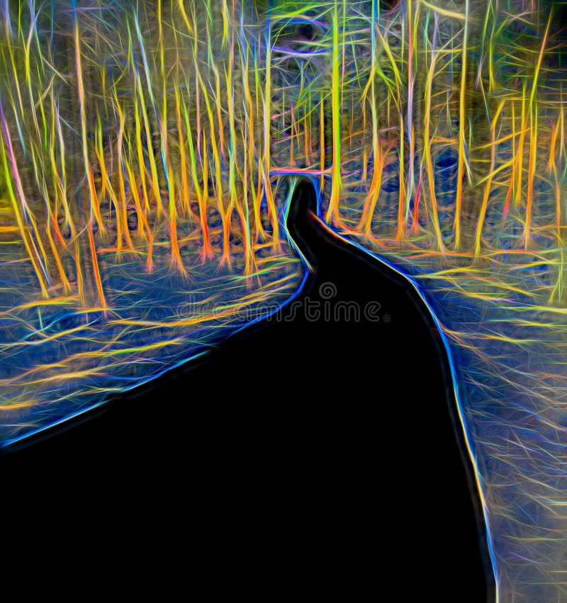 Neon path stock photo. Image of construction, entrance - 17076352