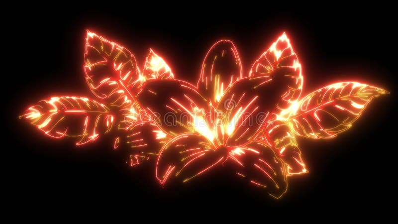 Neon Animation of Lily Flower with Leaves Stock Video - Video of ...