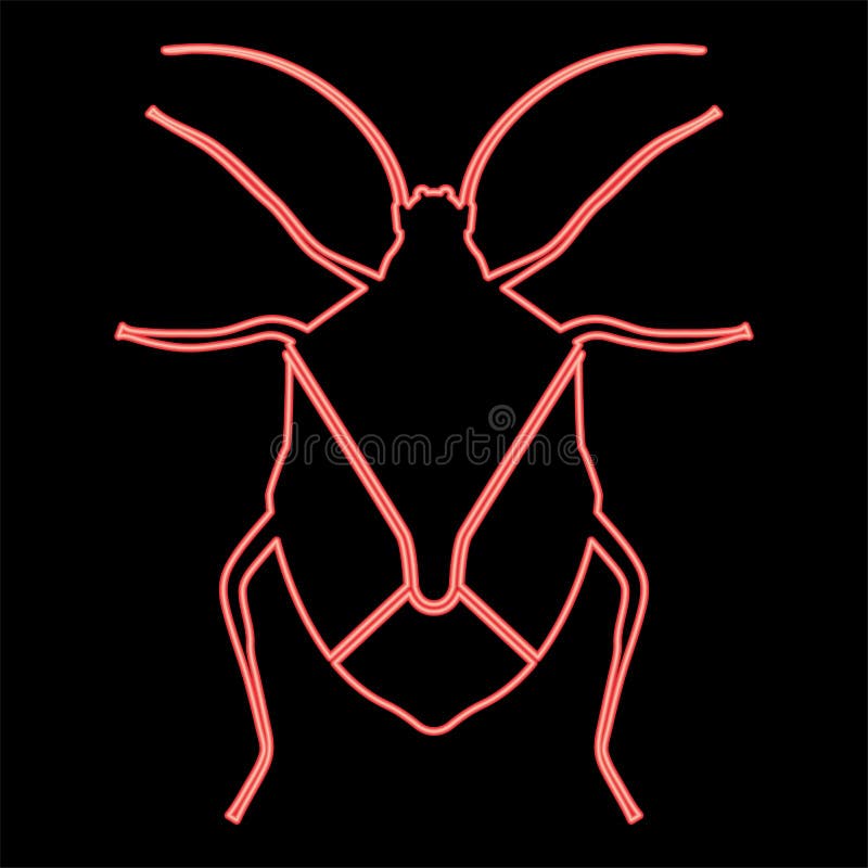 Neon Bug Bedbug Chinch True Bugs Hemipterans Insect Pest Red Color ...
