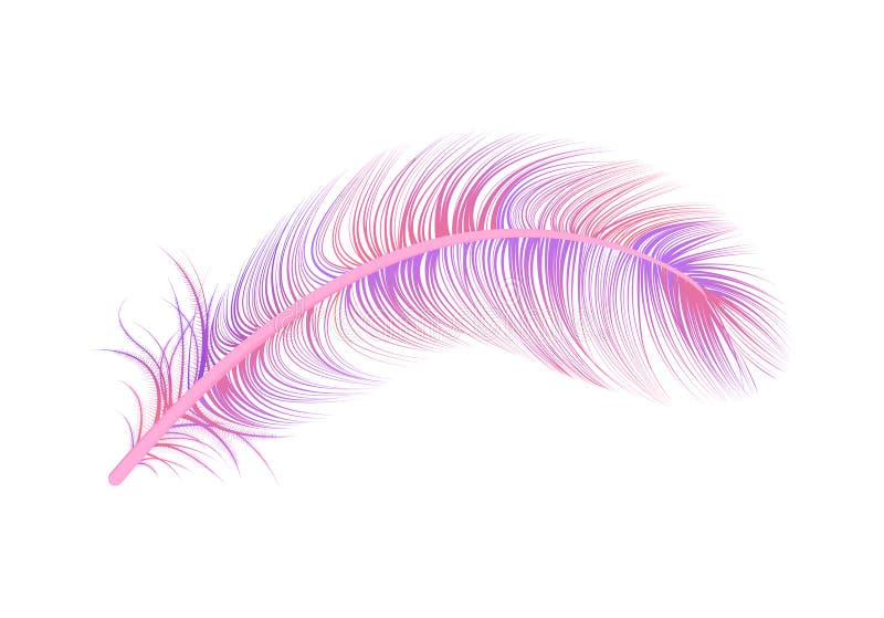 Single Feather Colored Stock Illustrations – 561 Single Feather Colored ...