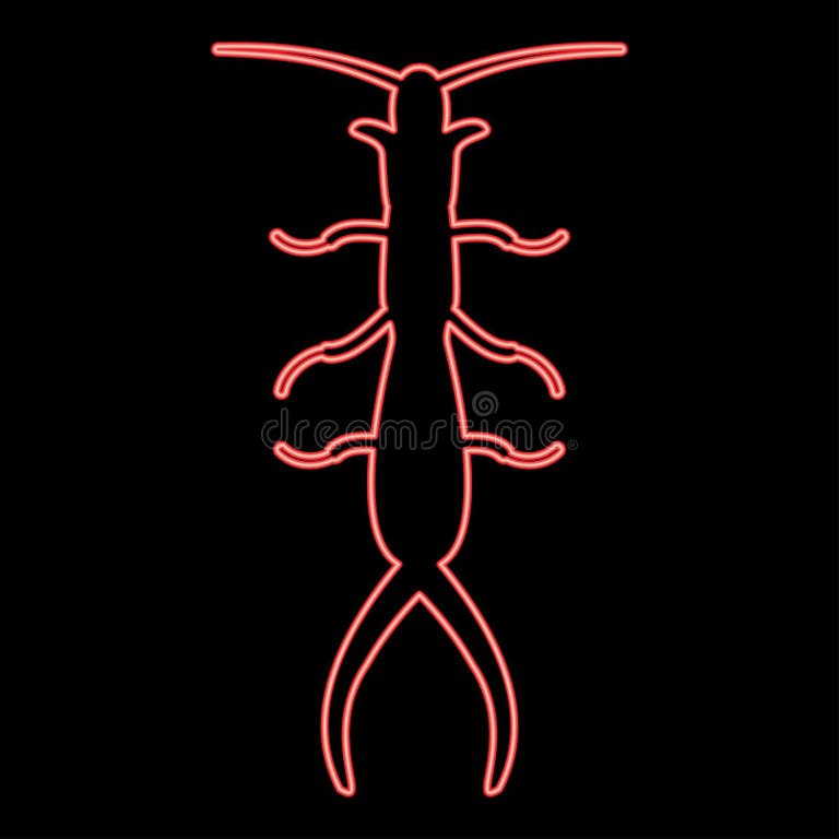 Earwig Stock Illustrations – 1,630 Earwig Stock Illustrations, Vectors ...