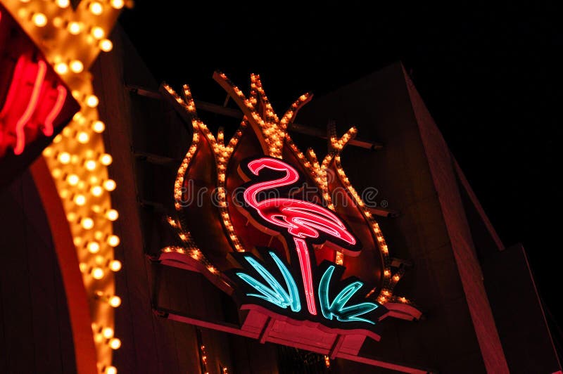 Neon Flamingo Sign Glowing at Night, with Bright Lights and Retro ...