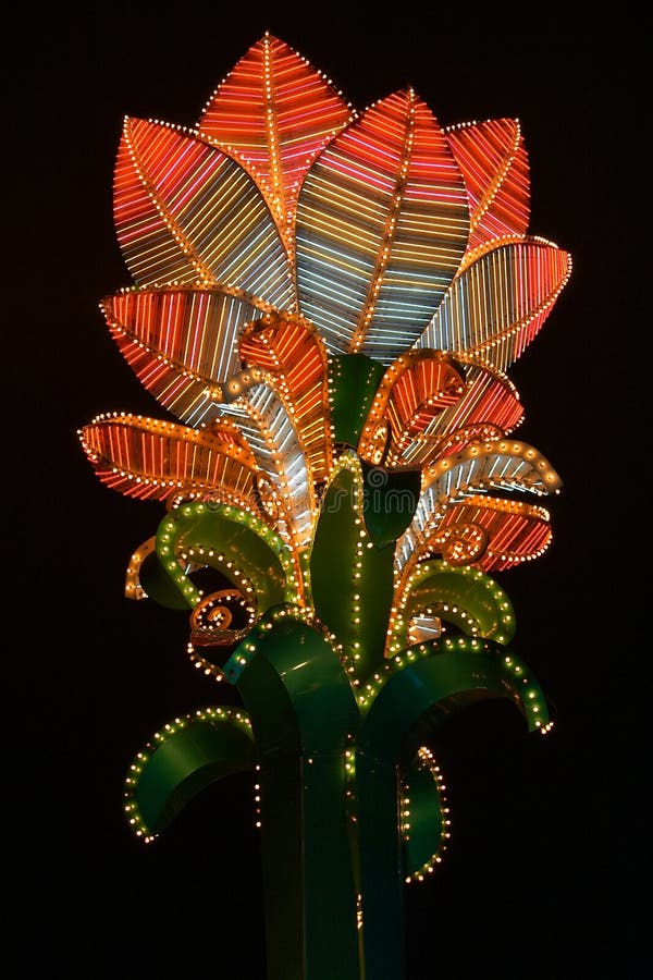 Neon flower stock photo. Image of flower, decoration - 11360466