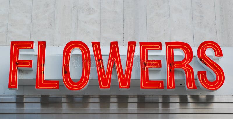 Flowers Neon Sign stock photo. Image of lighting, florist - 956396