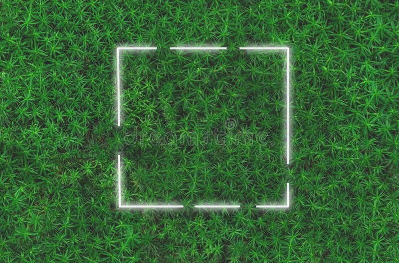 Neon Frame on the Grass. Background of Green Grass. View from Above ...