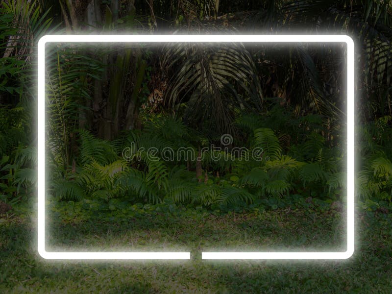 Neon Glowing Rectangular Frame Forest Stock Photos - Free & Royalty ...