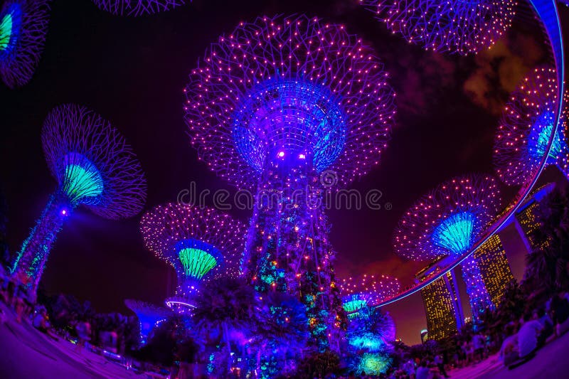 Neon Glowing Super Tree Stock Photos - Free & Royalty-Free Stock Photos ...