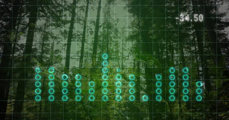 Neon Histogram Overlay Floating Across Misty Forest Canopy, Showing ...