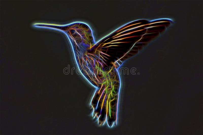 Neon Hummingbird stock photo. Image of flight, exotic - 48851950