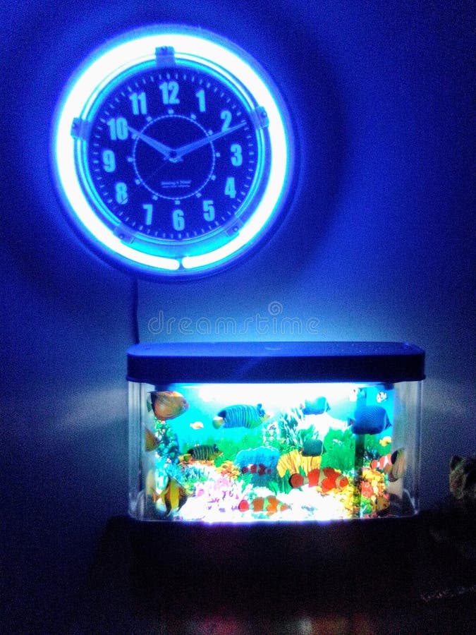 Neon Lamp Clock and Aquarium Fish Light Tank Stock Image - Image of ...