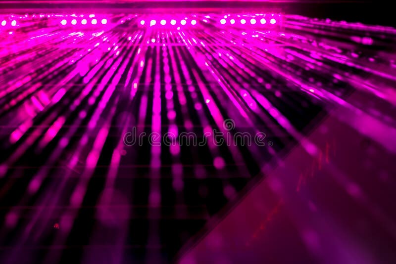 Neon Light Rays stock photo. Image of modern, black - 257105928