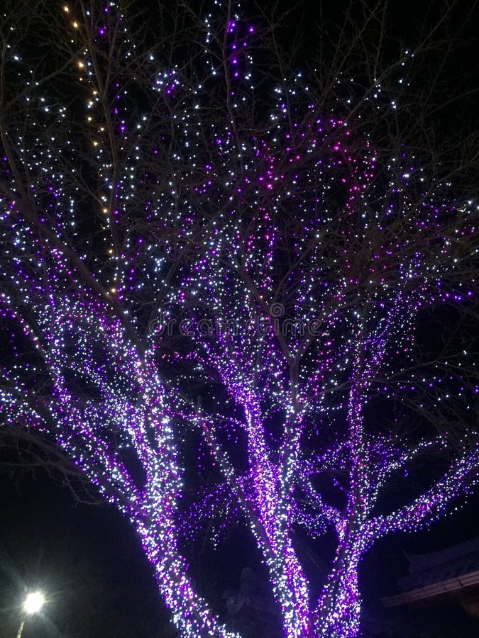 Neon light tree stock image. Image of neon, tree, cool - 208777853