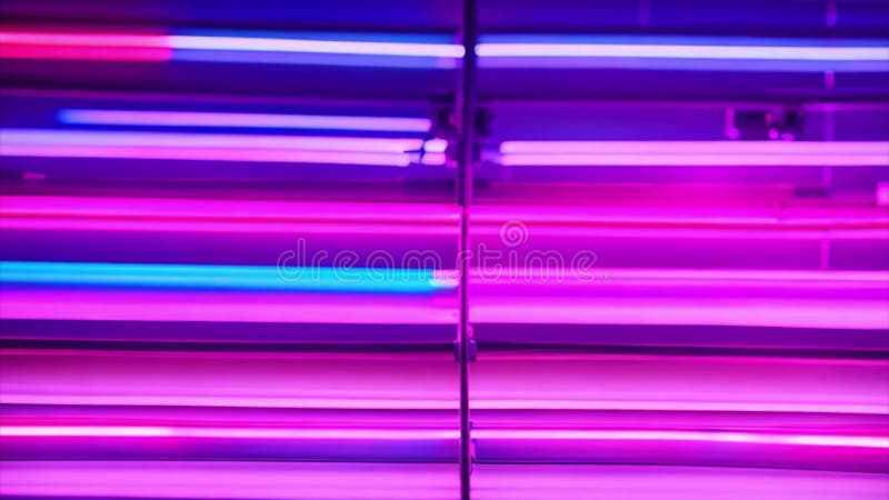 Neon Lights stock video. Video of interior, geometric - 347314925