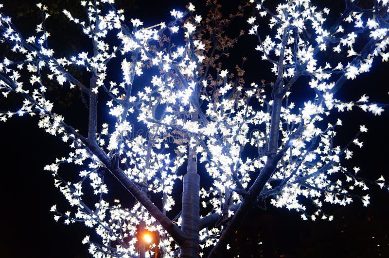 The neon lights color stock image. Image of electricity - 51694801