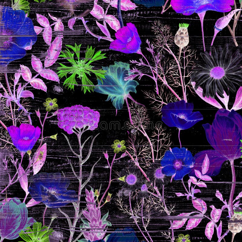 Neon Pattern of Summer Garden Wildflowers Stock Illustration ...