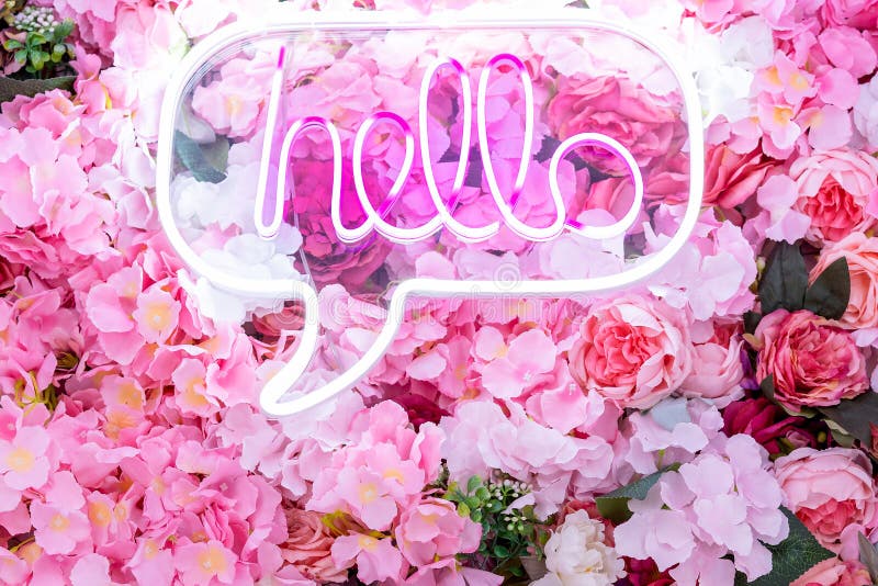 Neon Pink Inscription Hello. Wall of Pink Flowers Stock Photo - Image ...