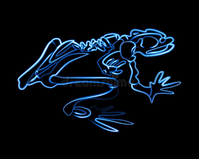 The Neon Representation of a Frog Skeleton Highlights Its Unique Bone ...