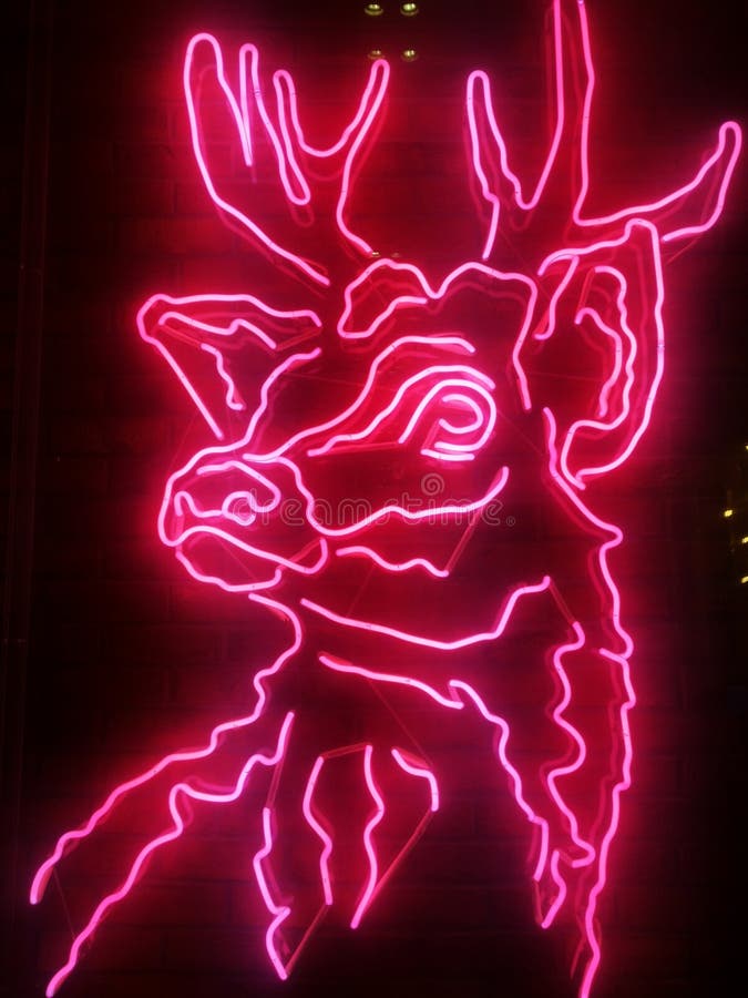 Neon Stag Light stock image. Image of pink, scottish - 174880171