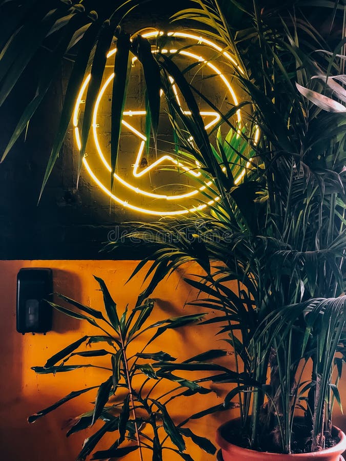 Neon Star Sign Surrounded by Tropical Plants Creating Exotic Ambient ...