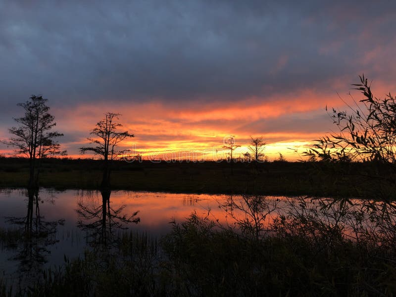 Swamp Sunsets in the Marsh with Ripples in the Water Stock Photo ...