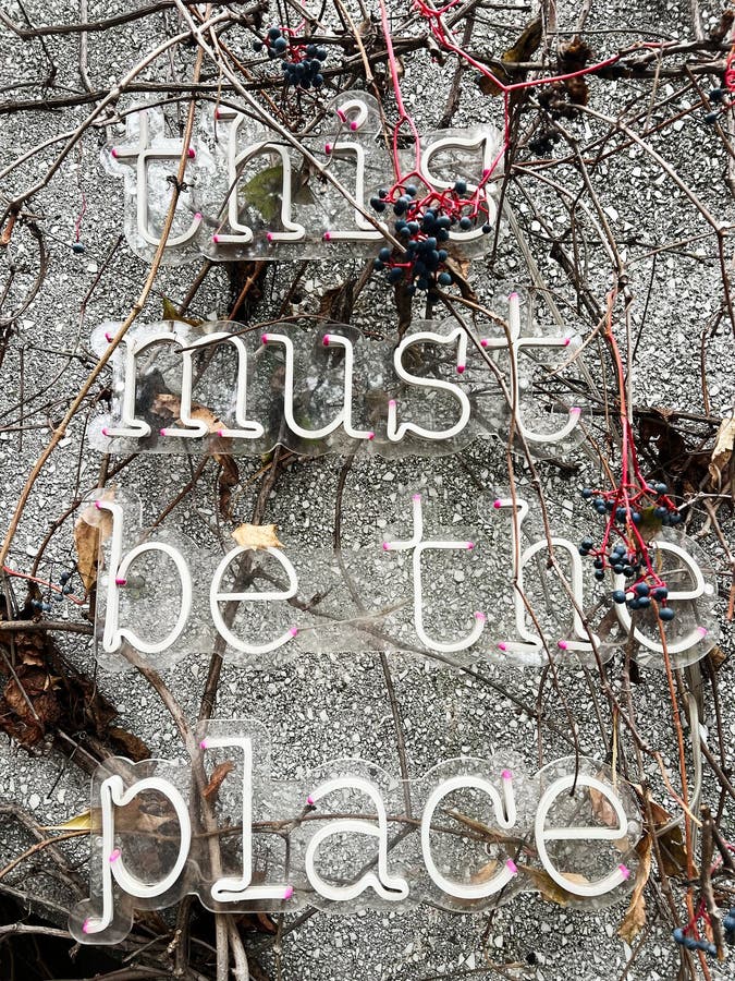 Neon Text Sign Entwined with Vines and Berries on a Textured Wall Stock ...