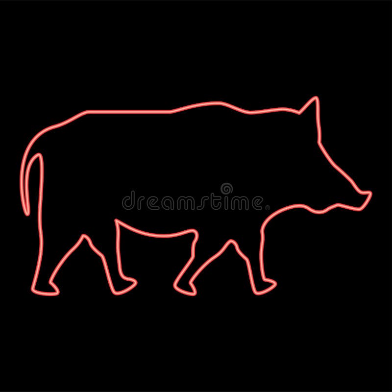 Neon Wild Boar Wild Pig Hog Warthog Red Color Vector Illustration Image ...