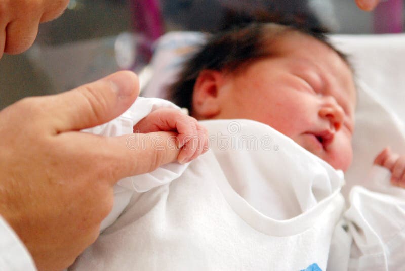 Neonate stock photo. Image of pretty, nice, endearing - 16968046