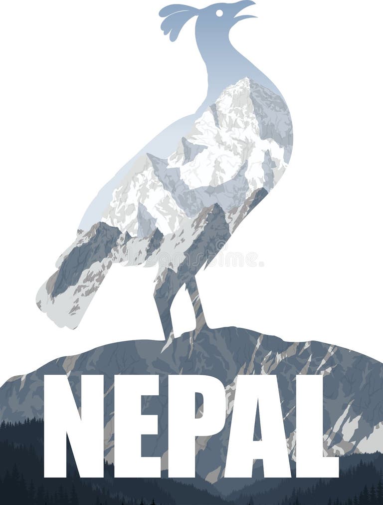 Himalayan Monal Stock Illustrations – 113 Himalayan Monal Stock ...
