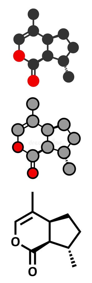 Nepetalactone Catnip Cat Attractant Molecule Stock Vector ...