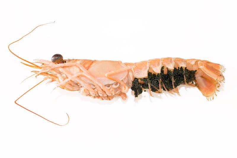Nephrops Norvegicus Detail Stock Photos - Free & Royalty-Free Stock ...