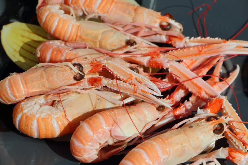 Nephrops on a plate stock image. Image of shellfish - 204397113