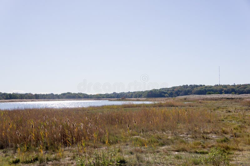 Neponset River wetlands stock photo. Image of mass, blue - 116337408