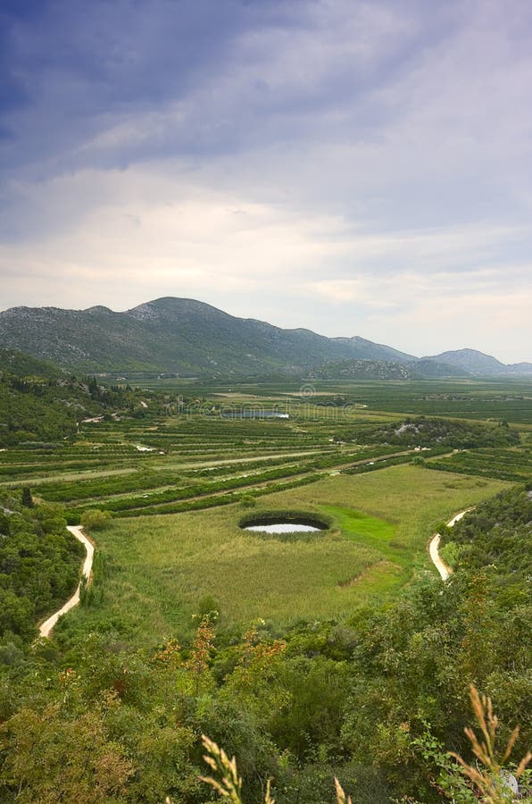 2+ Fertile delta Free Stock Photos - StockFreeImages