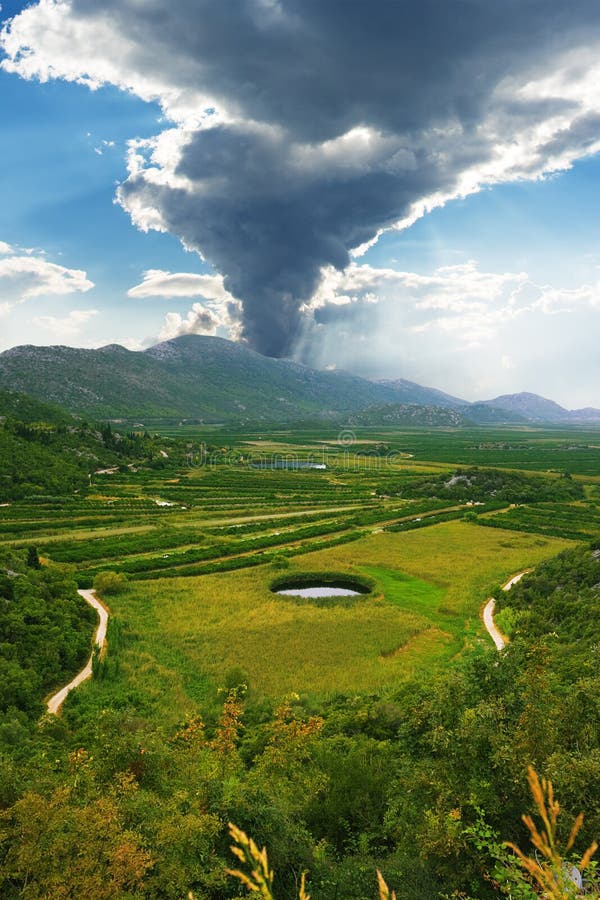Neretva delta stock photo. Image of water, pond, fertile - 23884832