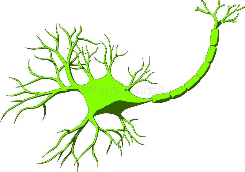 Nerve cell stock vector. Illustration of biological, micro - 9678686
