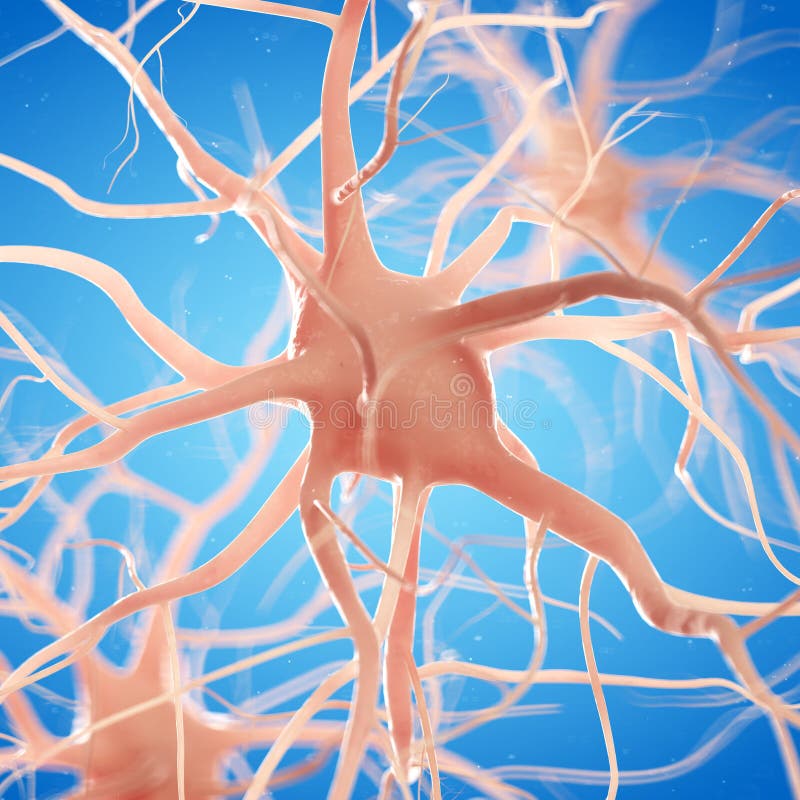 A nerve cell stock illustration. Illustration of inside - 74204378