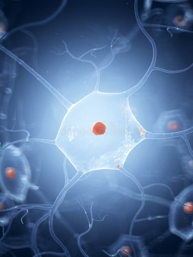 Nerve cell stock illustration. Illustration of body, human - 5498781