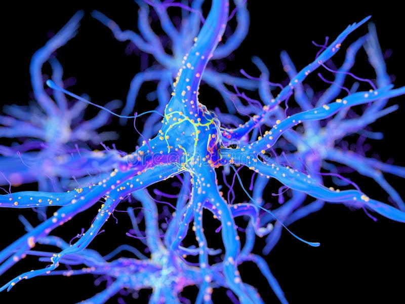 A nerve cell stock illustration. Illustration of nerve - 115815997
