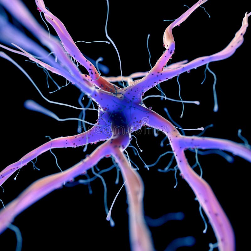 A nerve cell stock illustration. Illustration of micro - 115816074