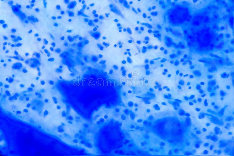 Nerve Cell Under the Microscope - Abstract Blue Dots on White Ba Stock ...