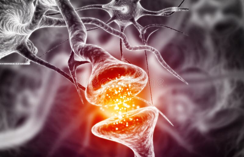 Nerve Cells and Electrical Pulses Stock Illustration - Illustration of ...